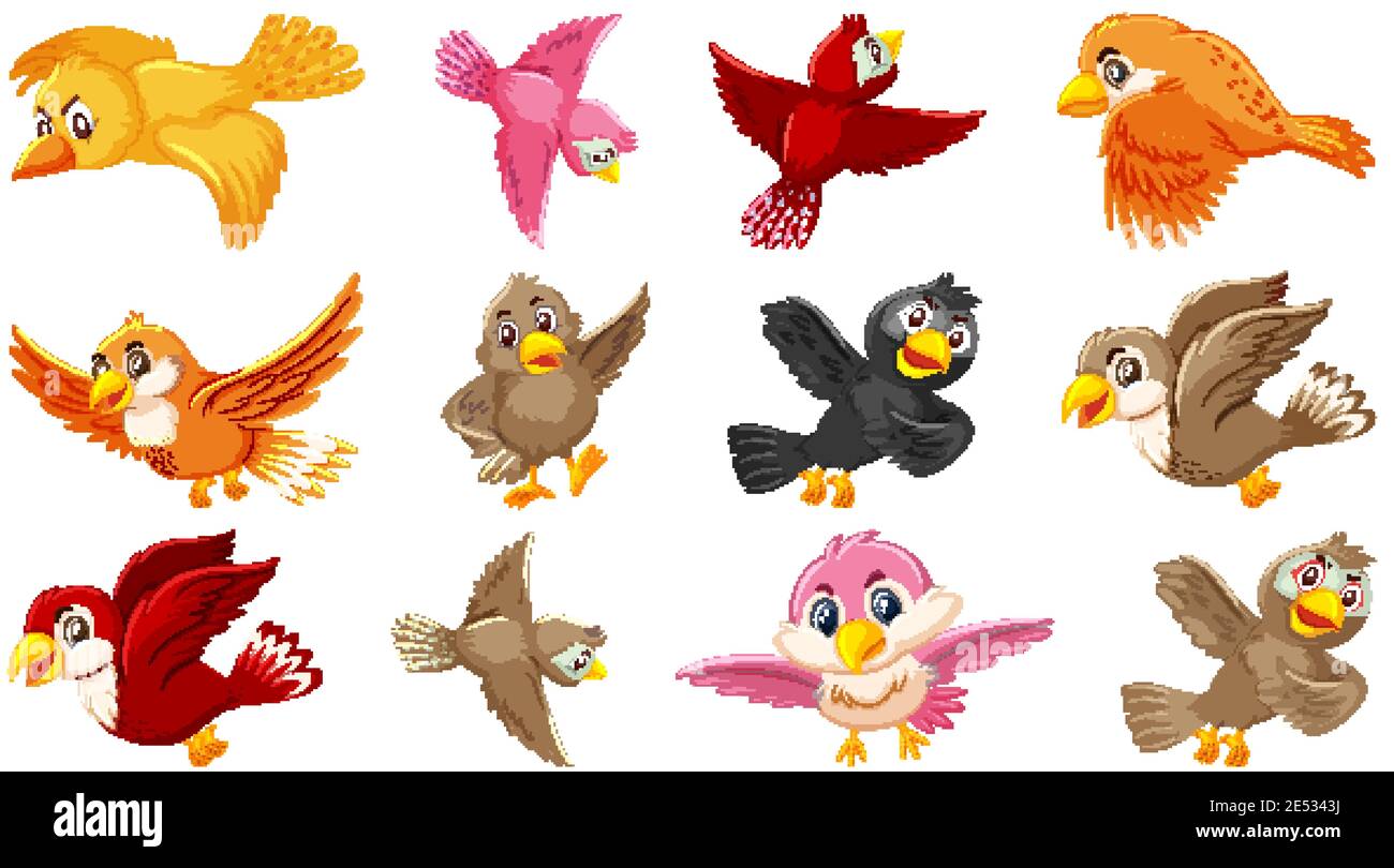 Set of bird cartoon character illustration Stock Vector Image & Art - Alamy