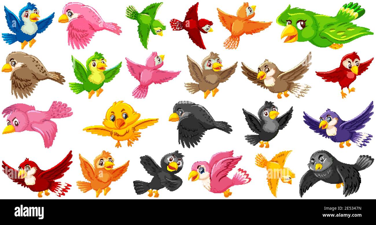 Set of bird cartoon character illustration Stock Vector Image & Art - Alamy