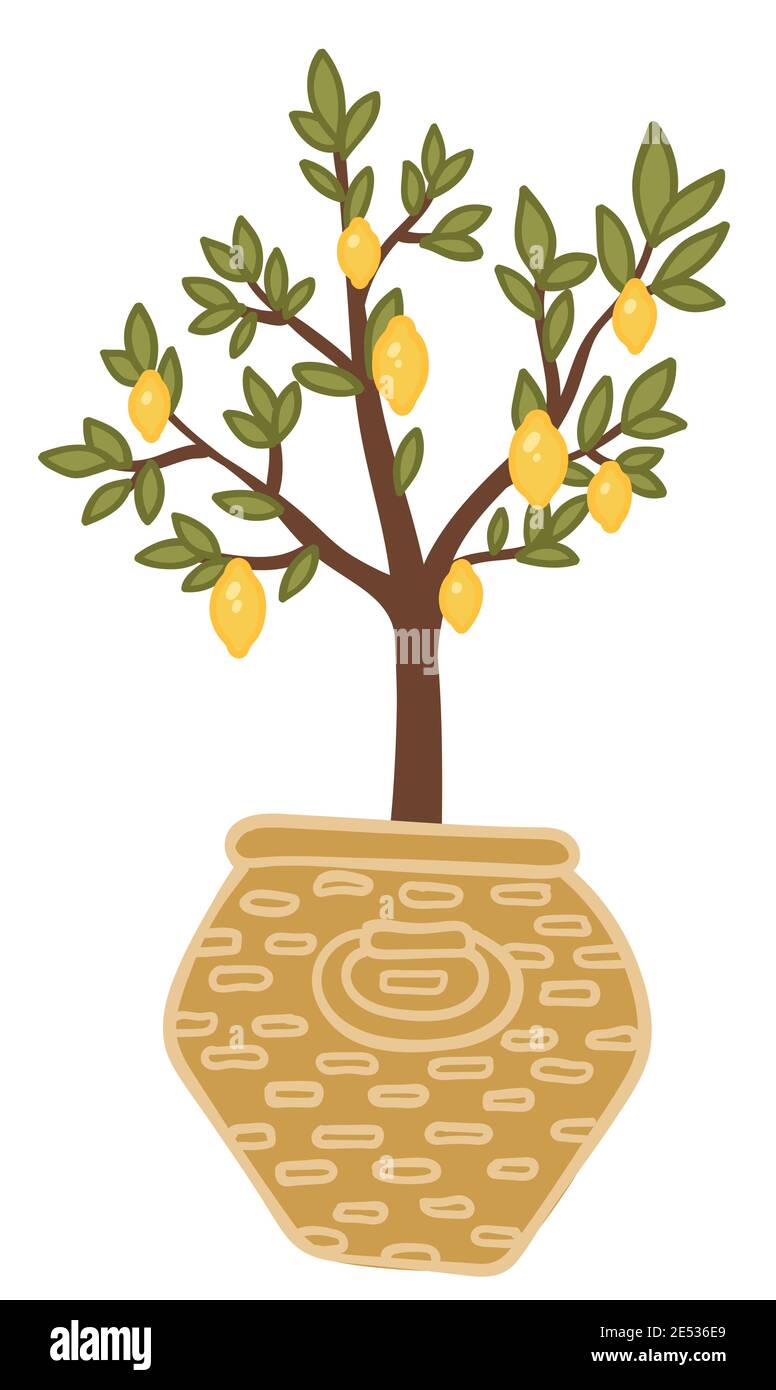 Lemon tree blossom Stock Vector Images - Alamy