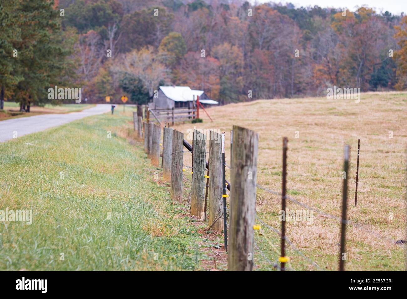 Wooden posts of a barbed wire fence with electric wire offset leading ...