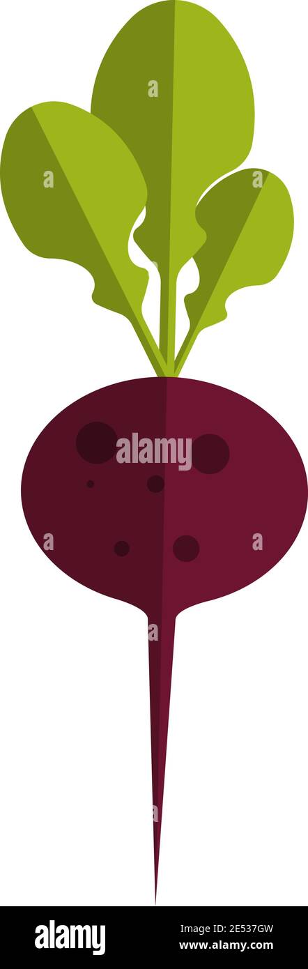 Beetroot icon, flat vector isolated illustration. Farm fresh vegetable ...