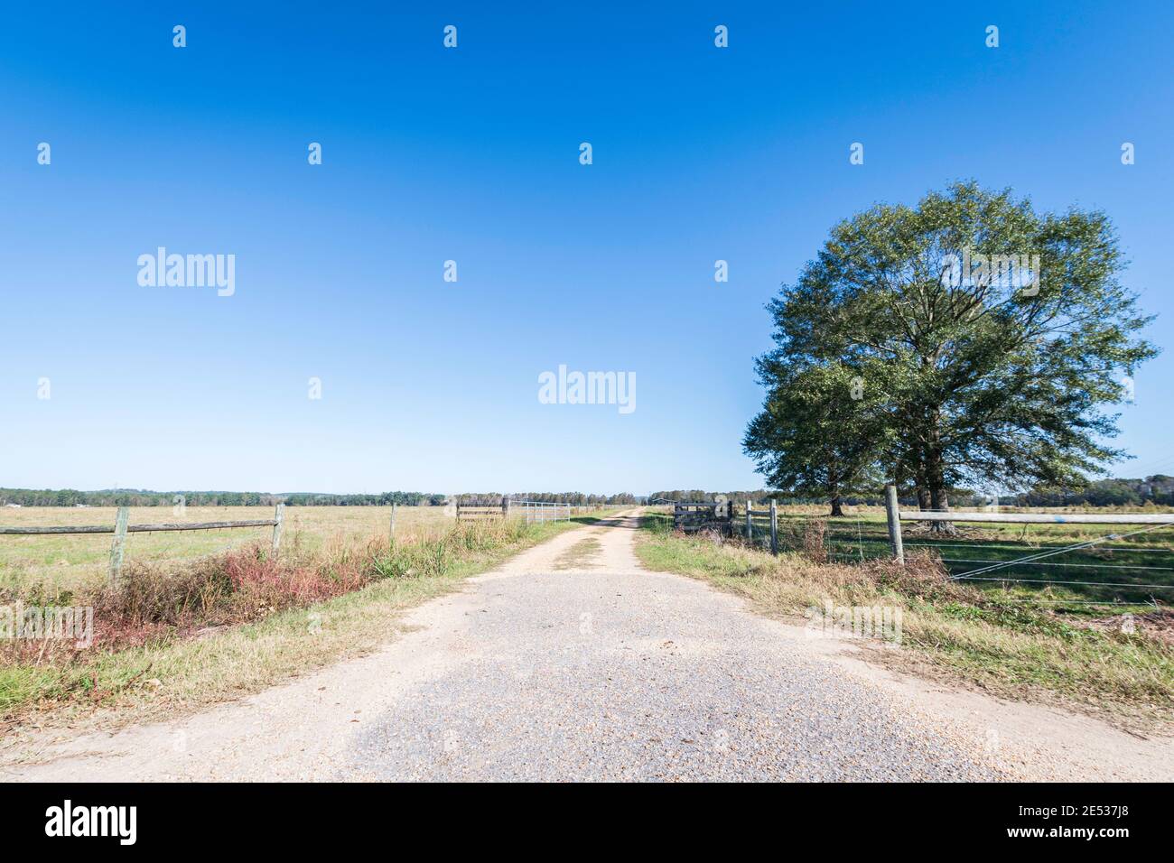 Country Dirt Road Background