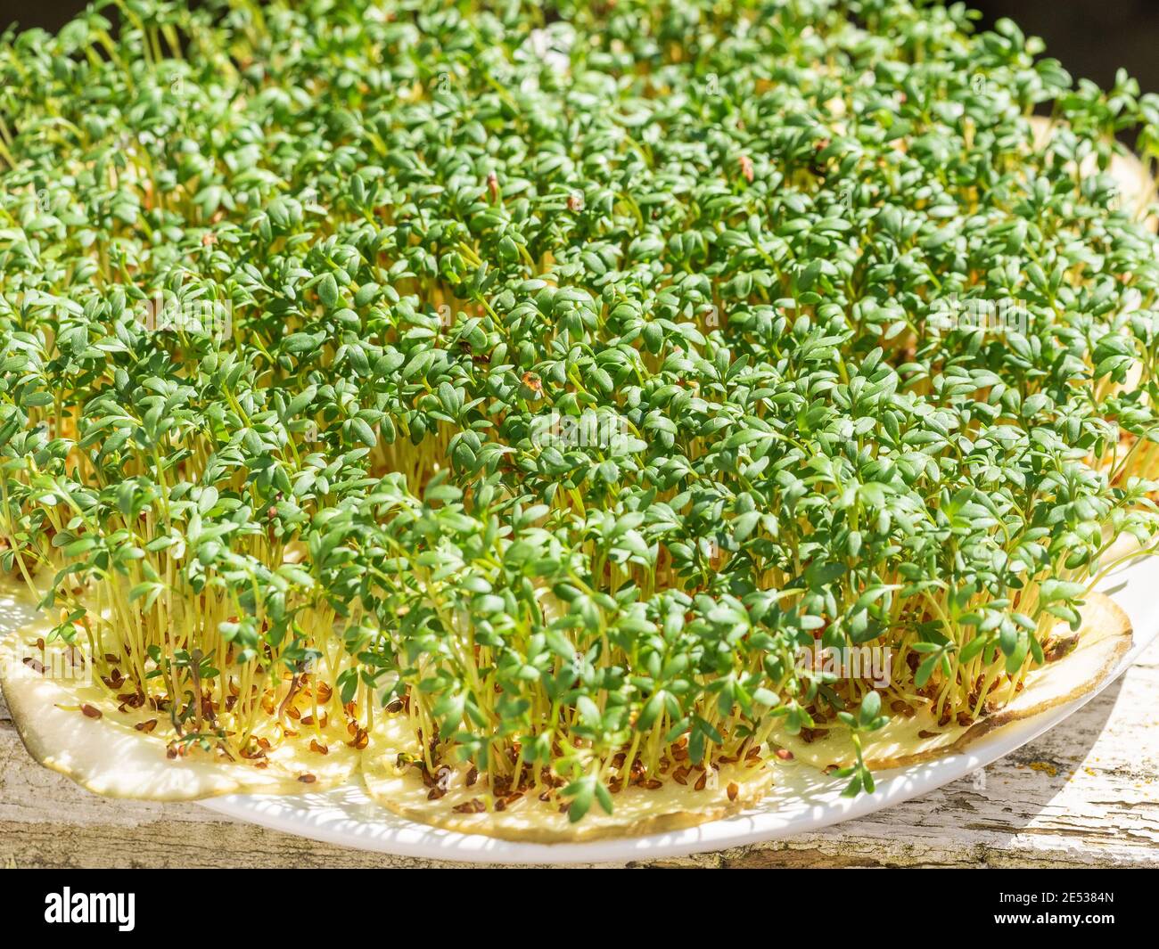 Edible watercress hi-res stock photography and images - Alamy