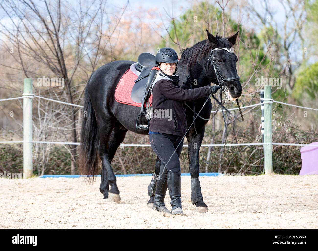riding girl are training her black horse Stock Photo - Alamy