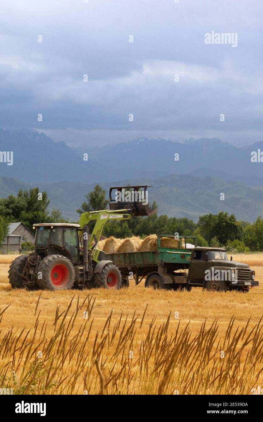 Agriculture Farming Hay Haystack Truck High Resolution Stock ...