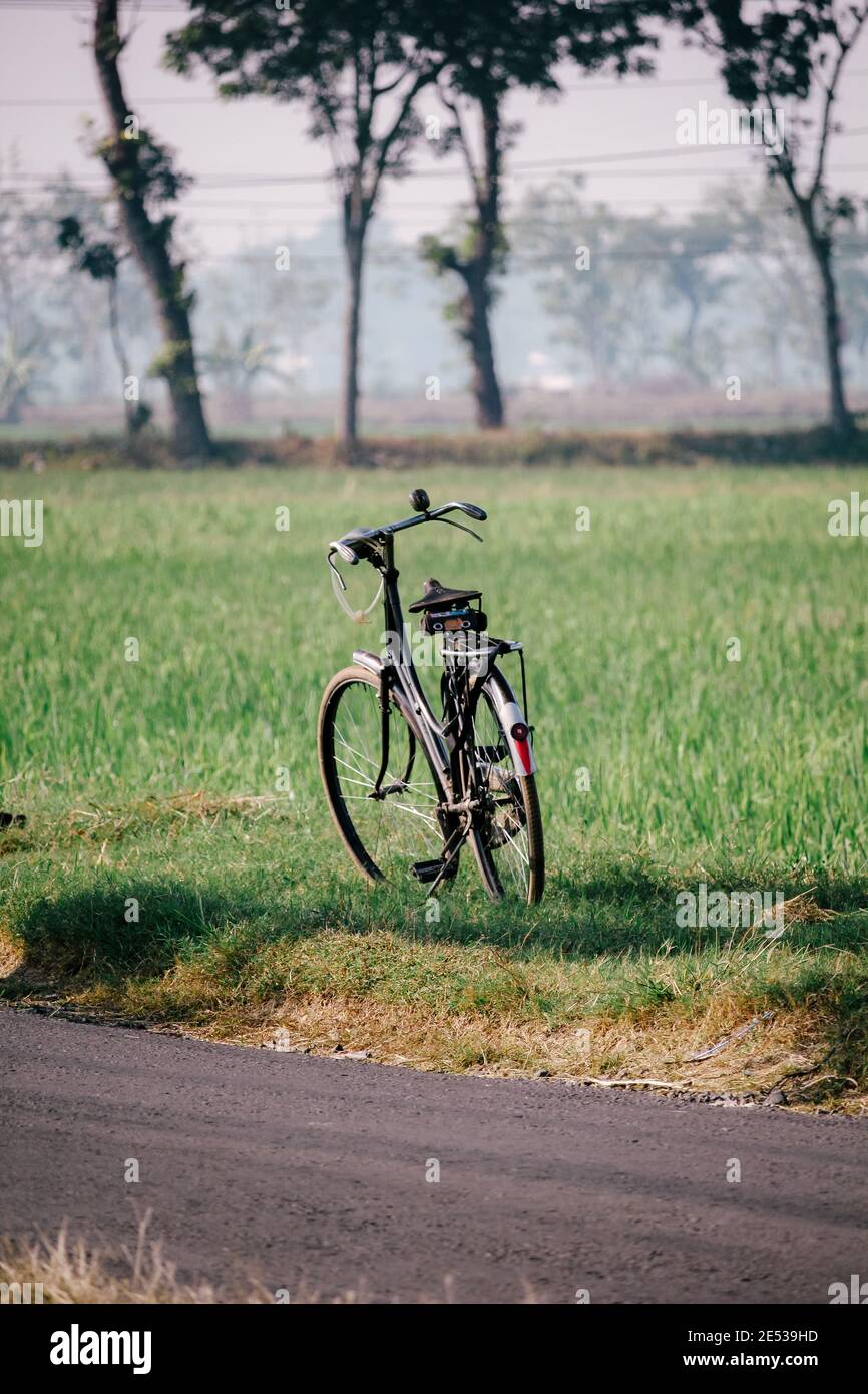 Onthel cycle in Indonesia Stock Photo - Alamy