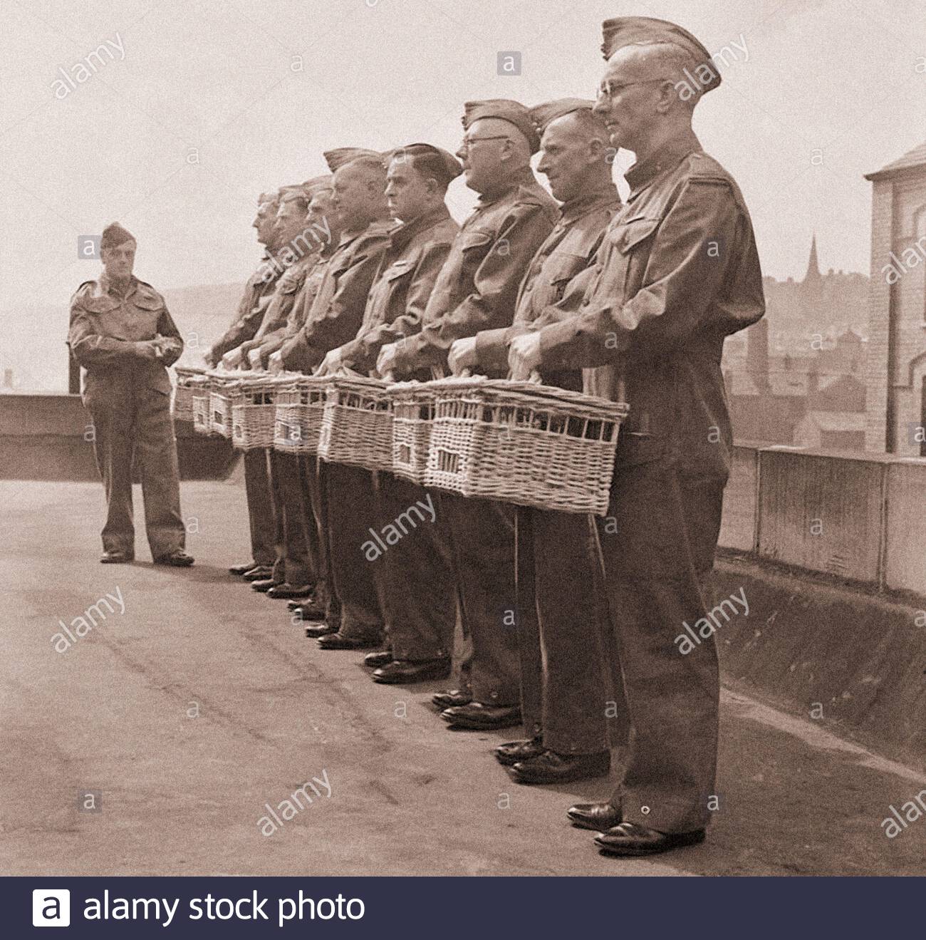 War Pigeon High Resolution Stock Photography and Images - Alamy