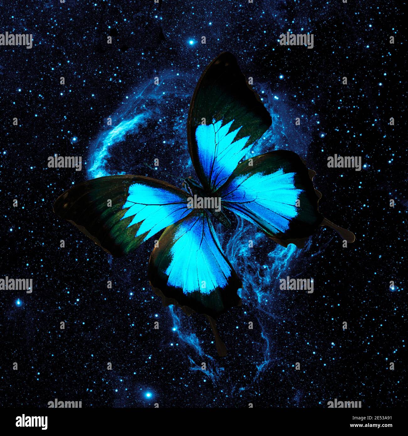 blue butterfly flying across the starry sky. Elements of this image ...