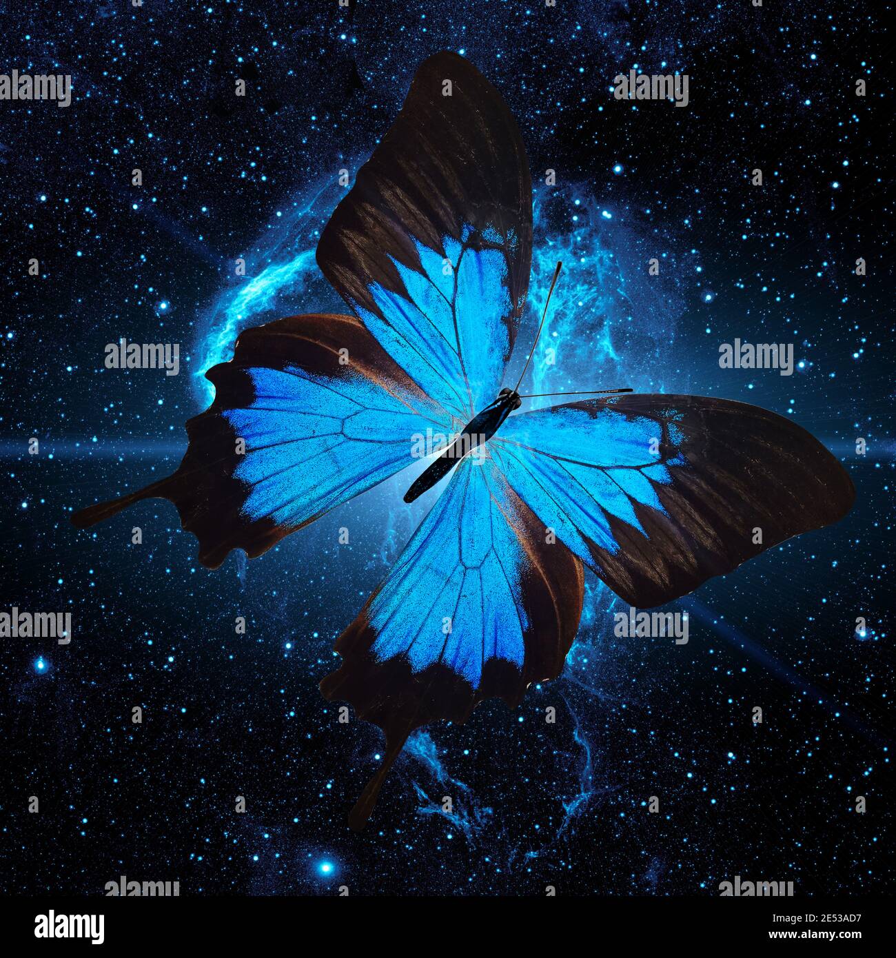 blue butterfly flying across the starry sky. Elements of this image ...