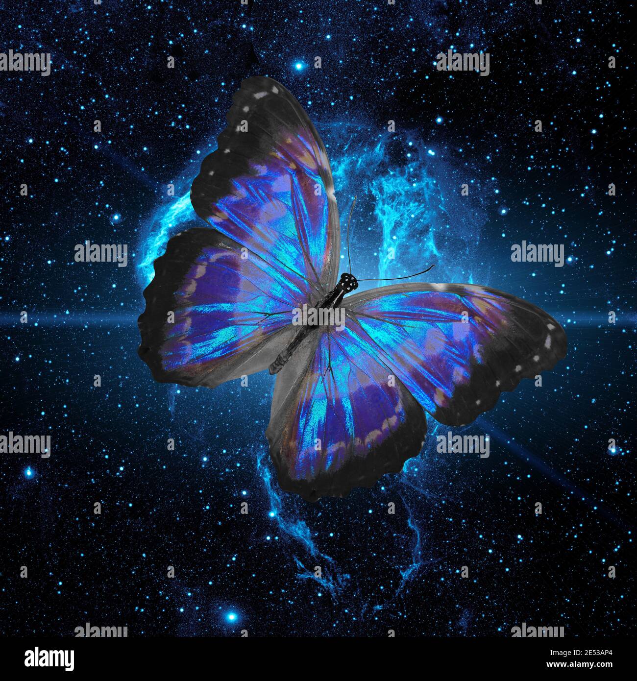 blue butterfly flying across the starry sky. Elements of this image ...