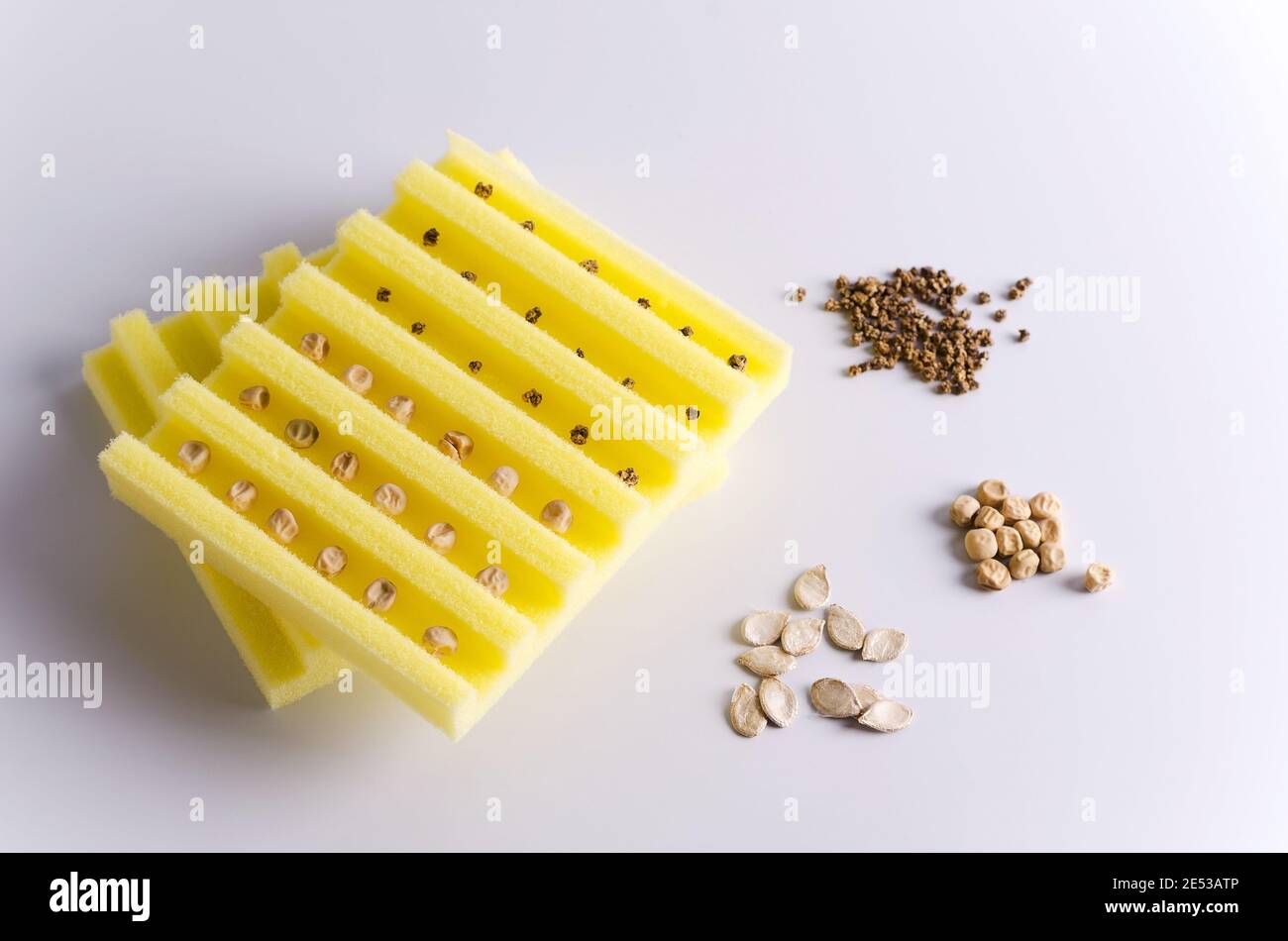 The material for seed germination lies on a white background with ...