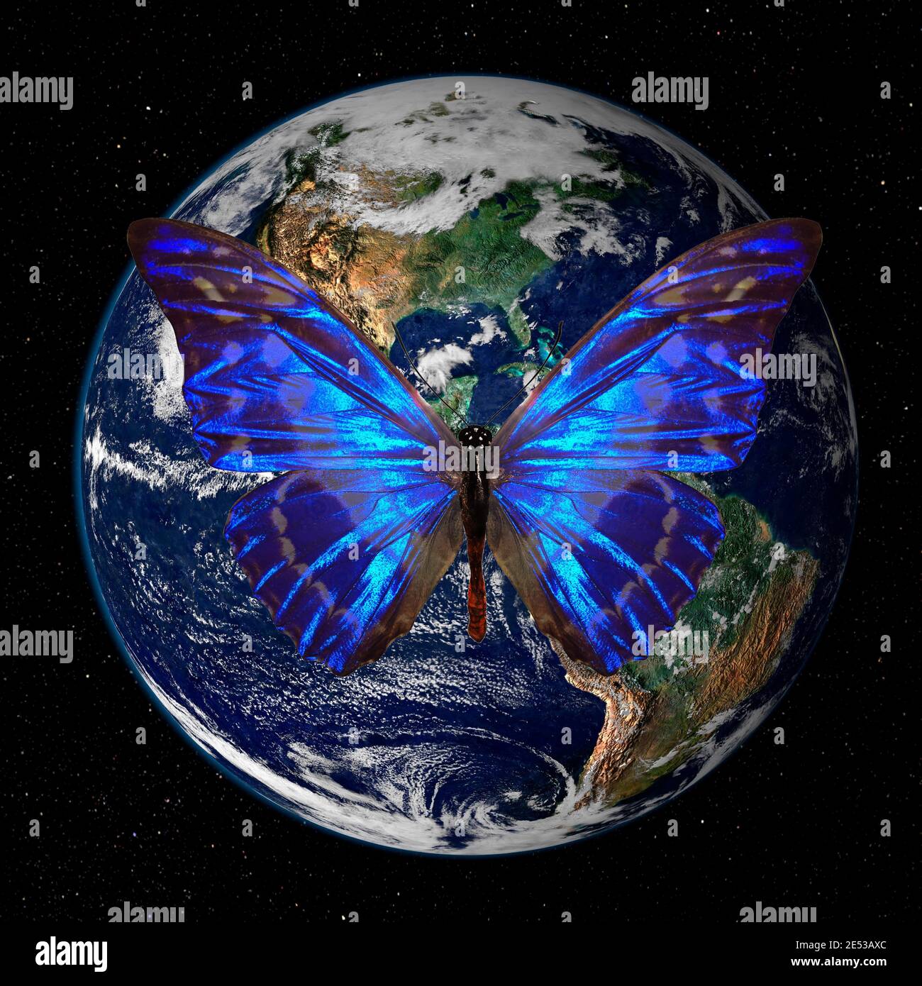 blue butterfly in space against the earth's planet.Elements of this ...