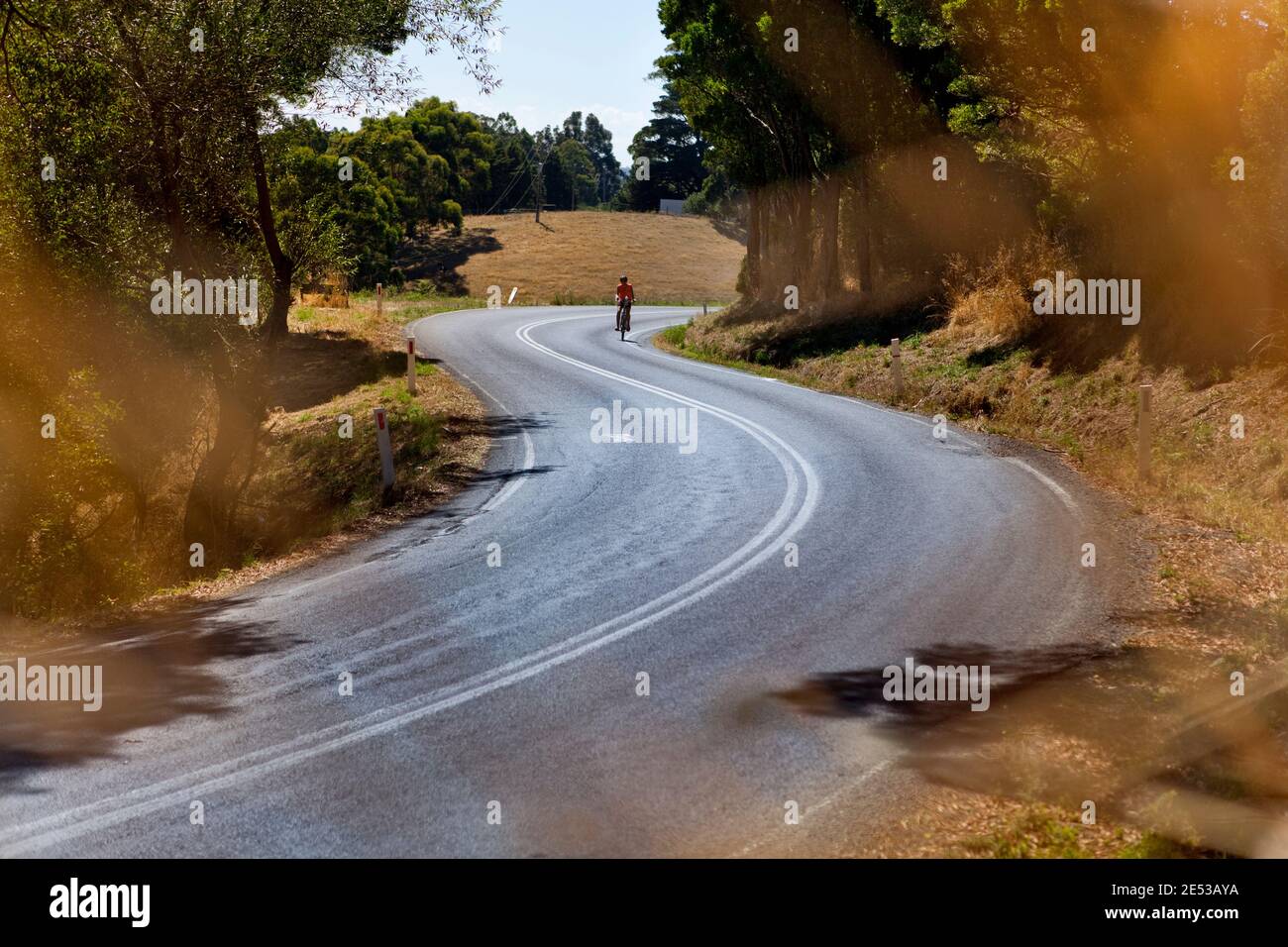 Strzelecki ranges hi-res stock photography and images - Alamy