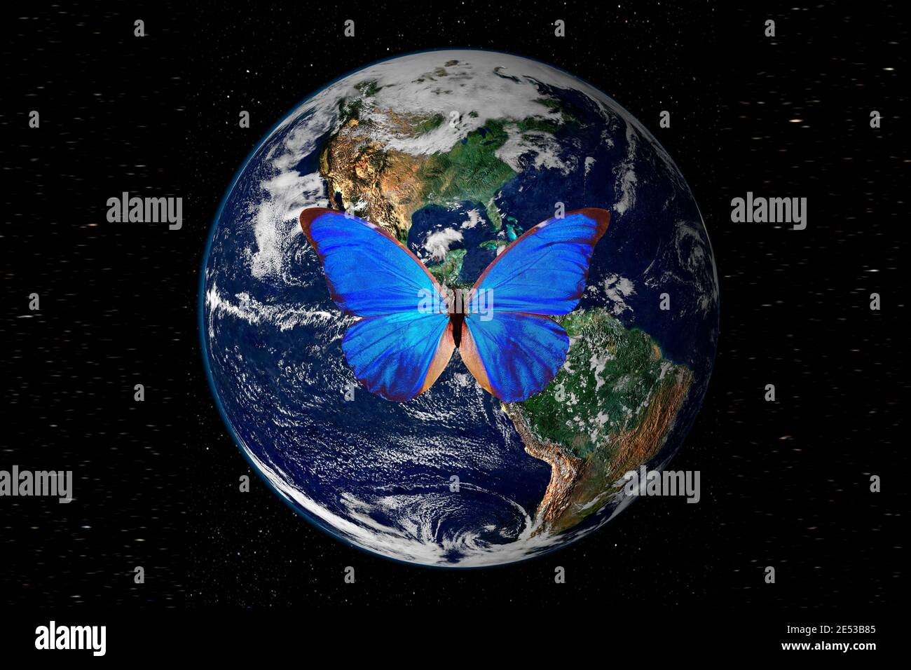 blue butterfly in space against the earth's planet.Elements of this ...