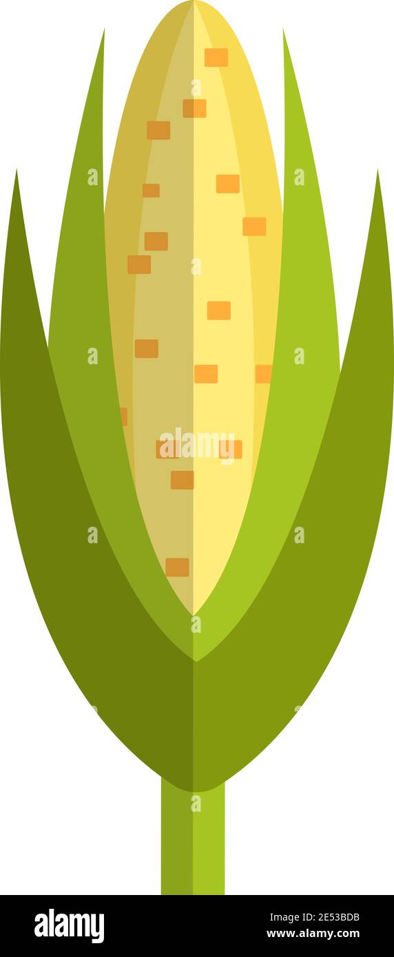 Sweet maize icon, flat vector isolated illustration. Ear of corn. Farm ...