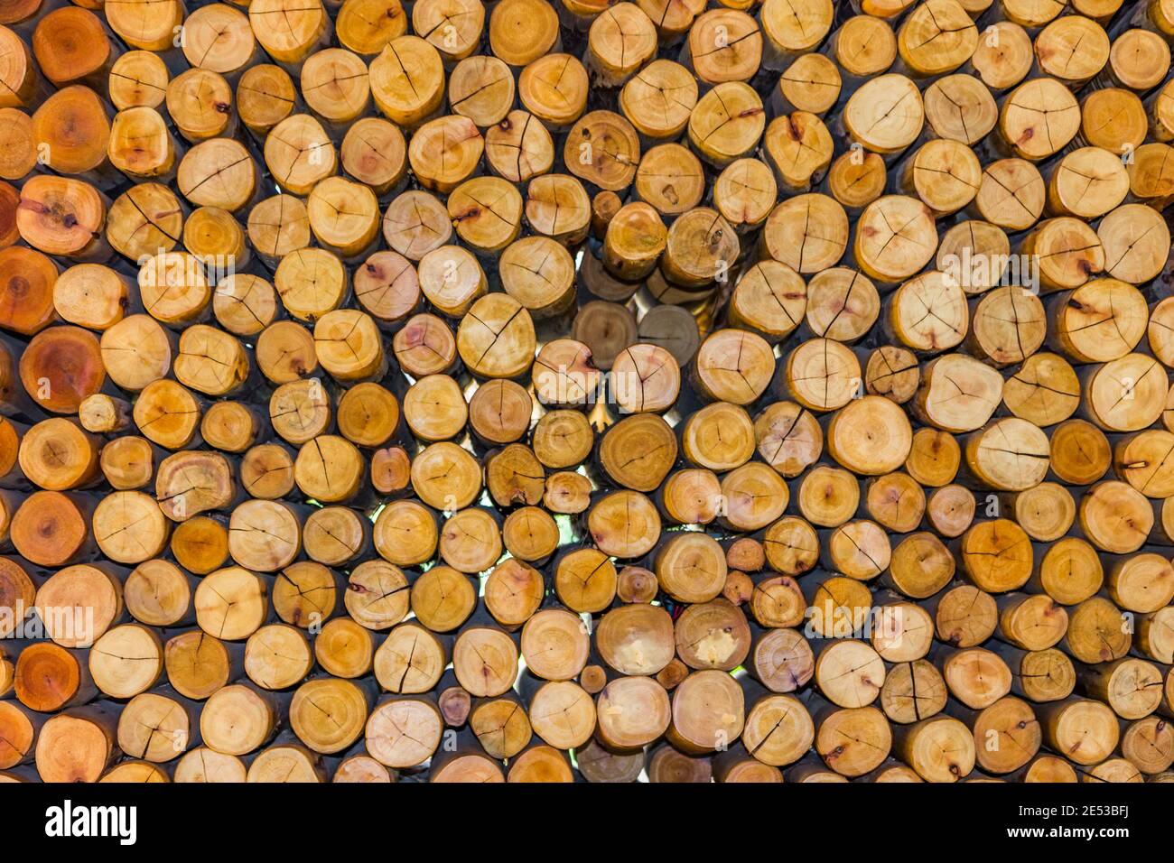 Wood cut half circles for background Stock Photo - Alamy