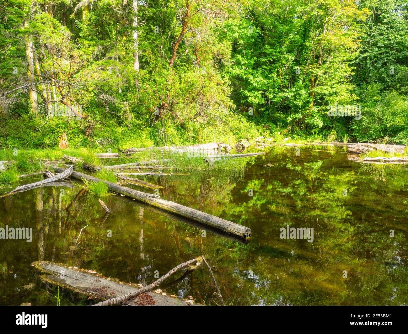 Burfoot Park is a public park located in Thurston County, Washington ...