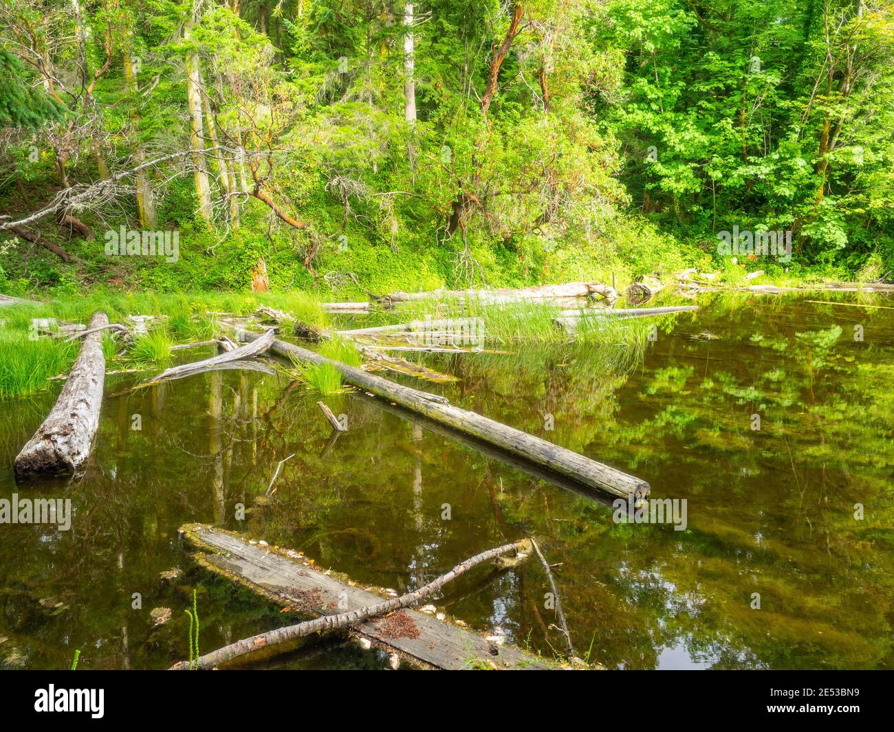 Burfoot Park is a public park located in Thurston County, Washington ...