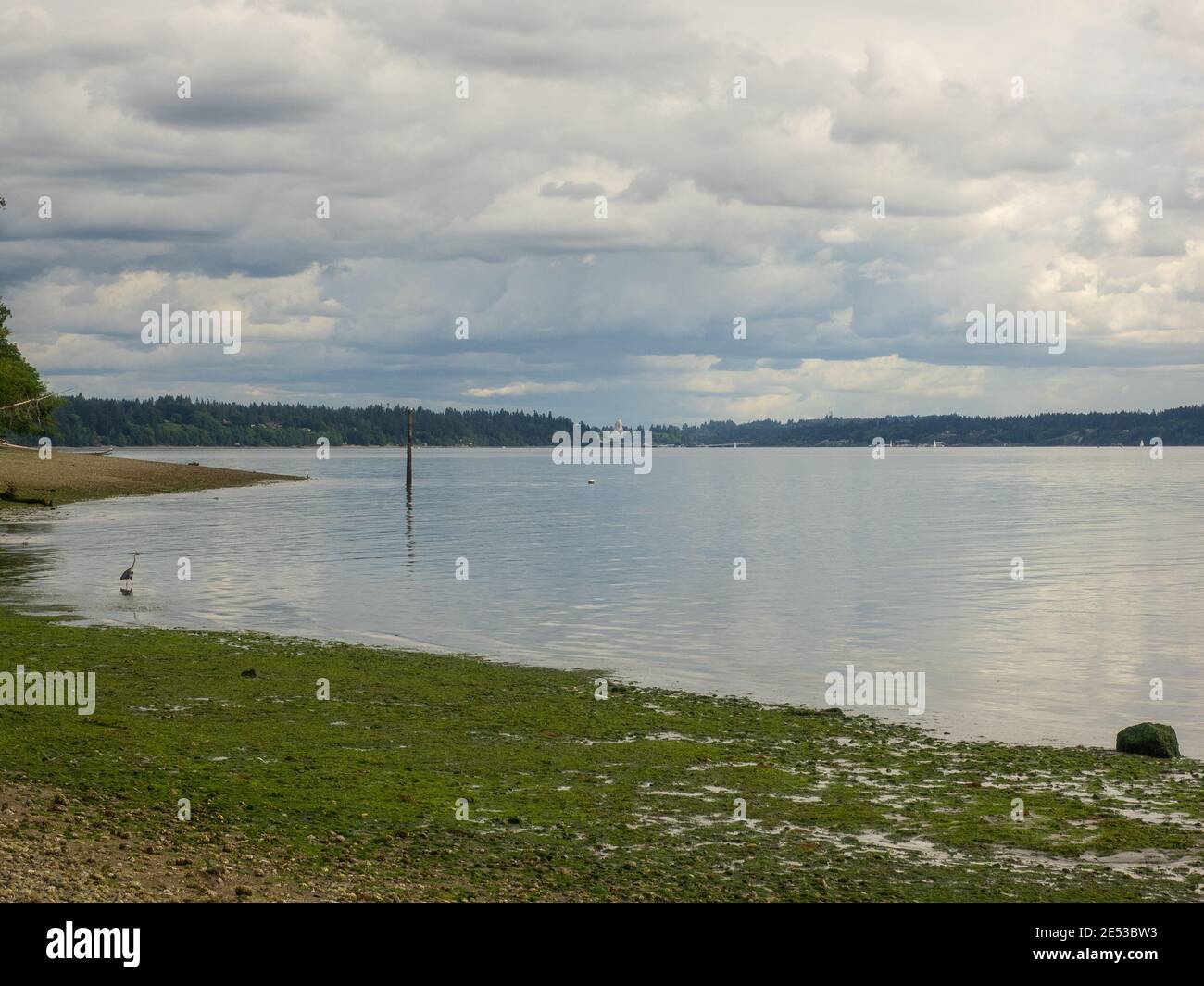 Burfoot hi-res stock photography and images - Alamy