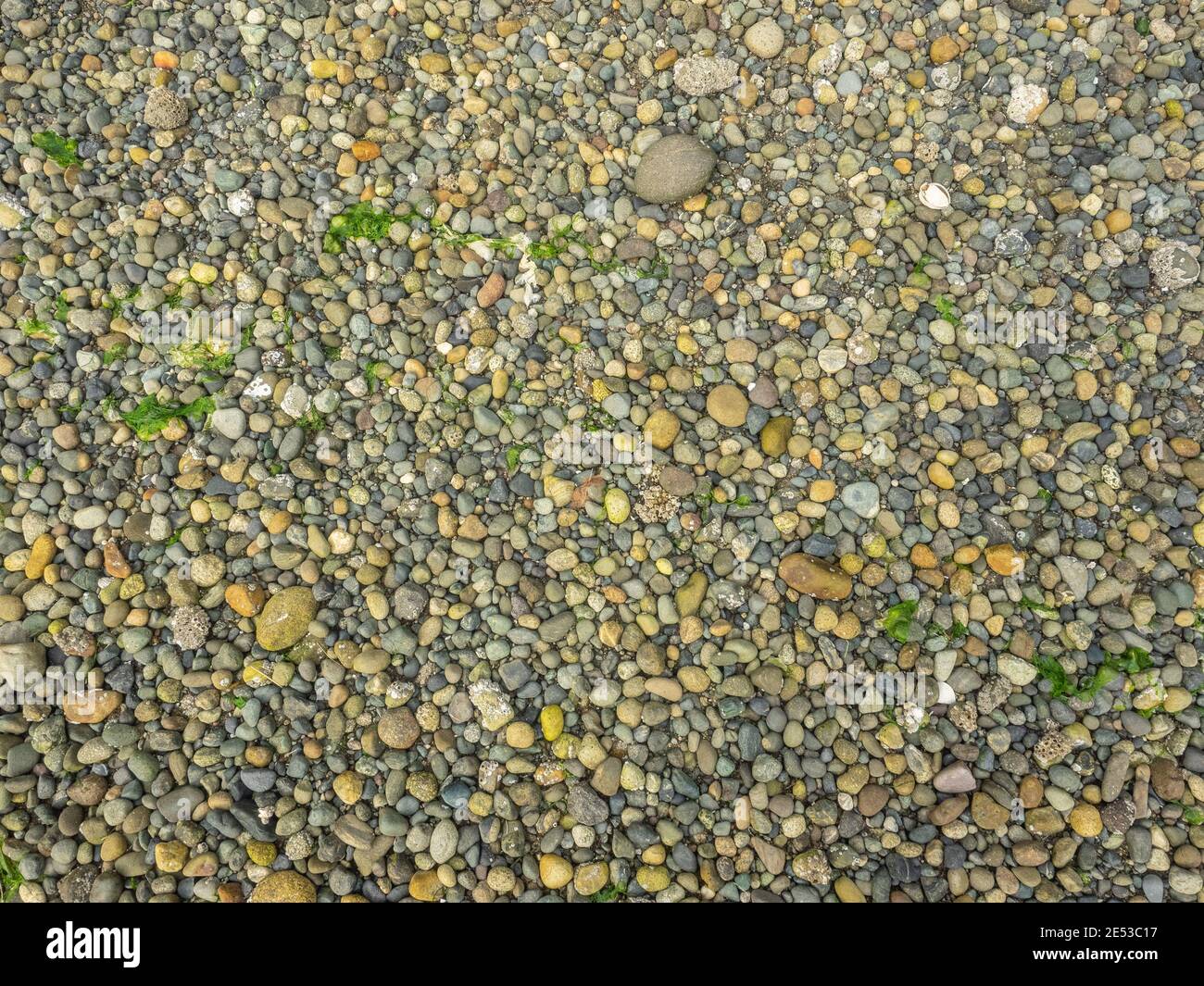 Burfoot High Resolution Stock Photography and Images - Alamy