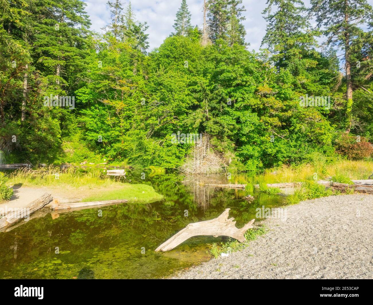 Burfoot hi-res stock photography and images - Alamy