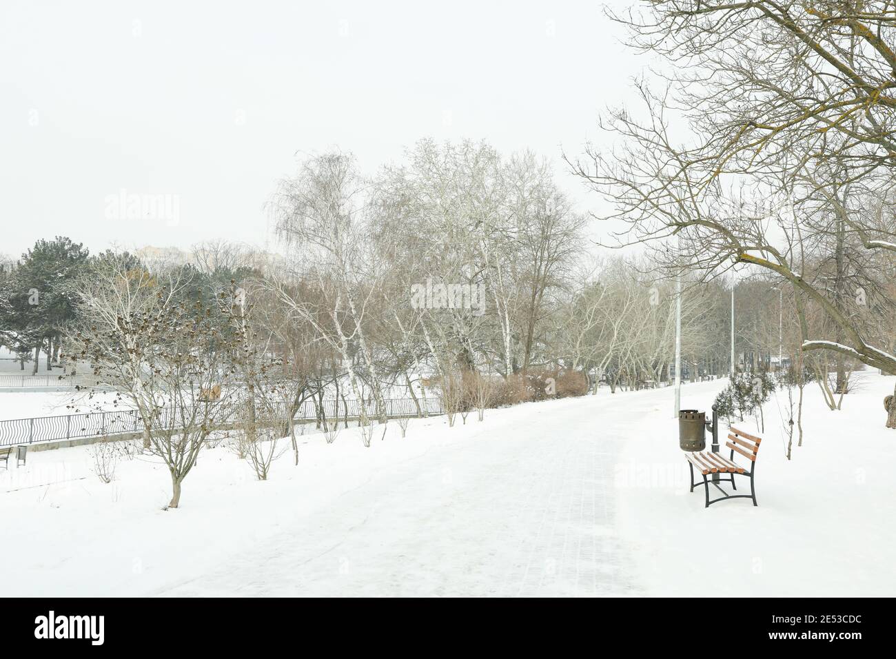 Cozy park with snow in amazing winter weather Stock Photo - Alamy