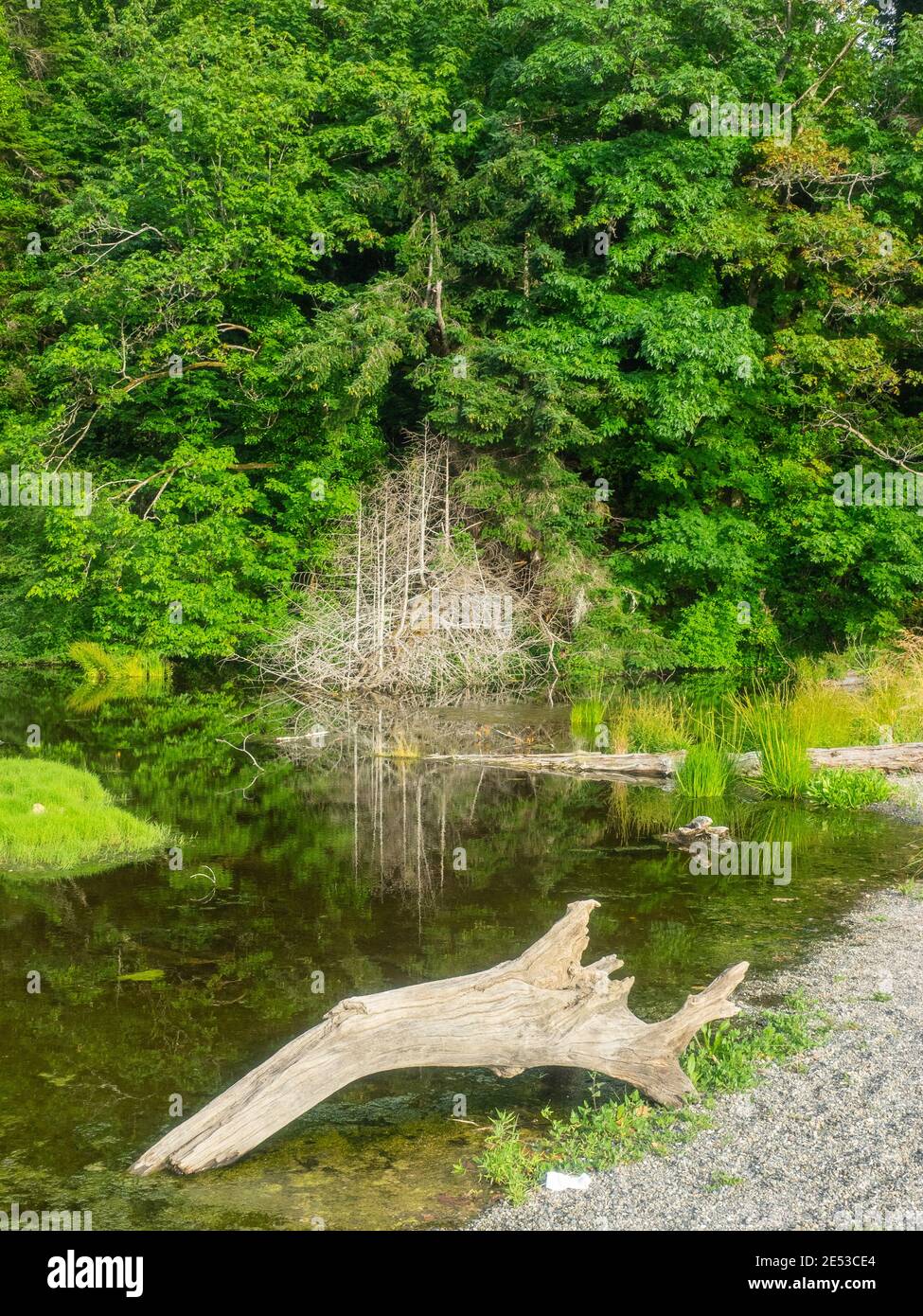 Burfoot hi-res stock photography and images - Alamy