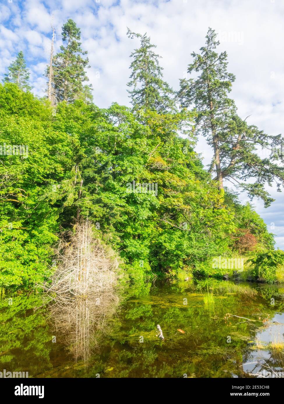 Burfoot park hi-res stock photography and images - Alamy