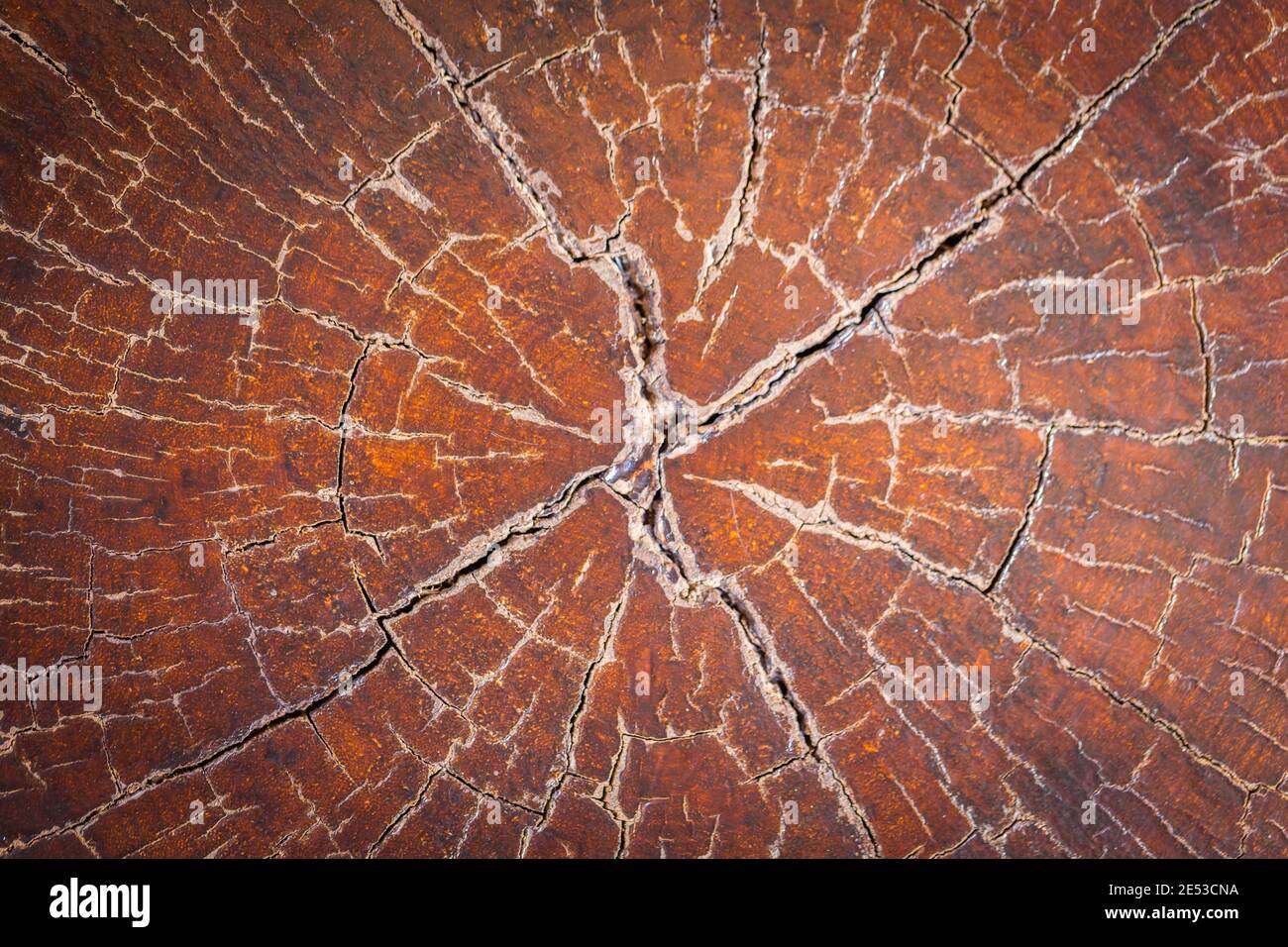 Dark wood texture. Abstract background Stock Photo - Alamy