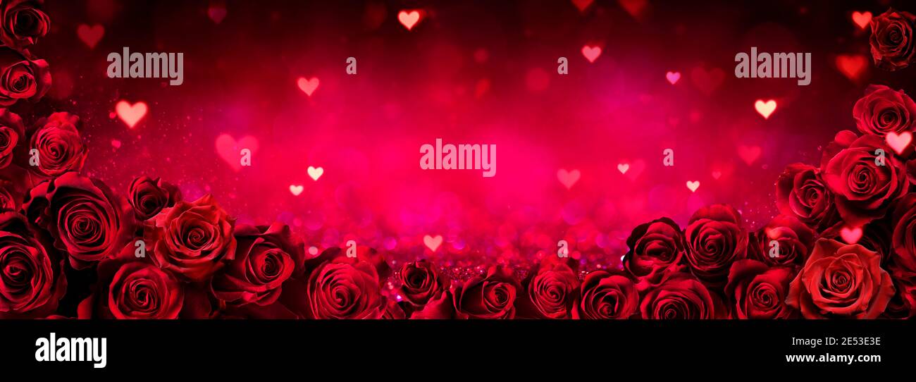 Floral border on black background hi-res stock photography and images ...