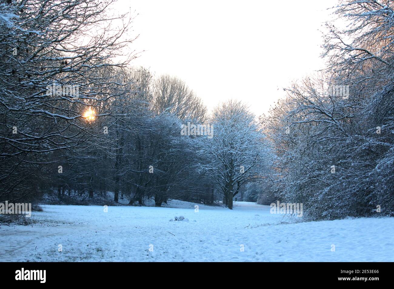 Peterborough, UK. 25th Jan, 2021. The sun appears behind these trees ...