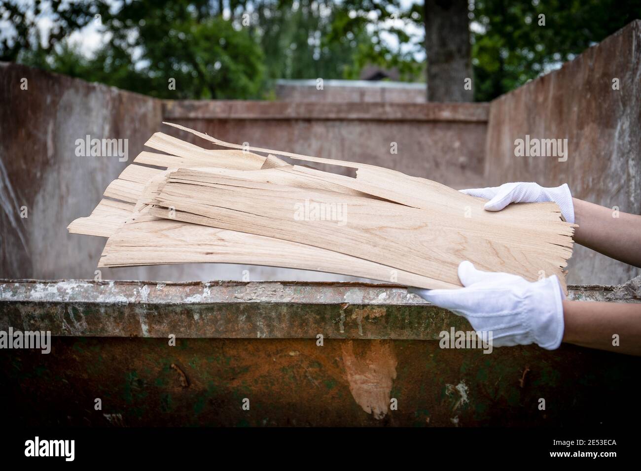 Putting wooden debris in the waste container, white gloves on hands ...