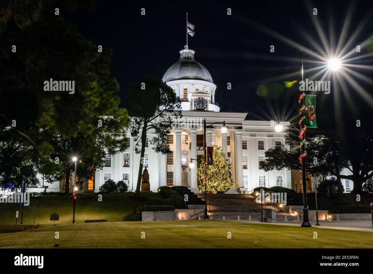 Alabama state tree hi-res stock photography and images - Alamy