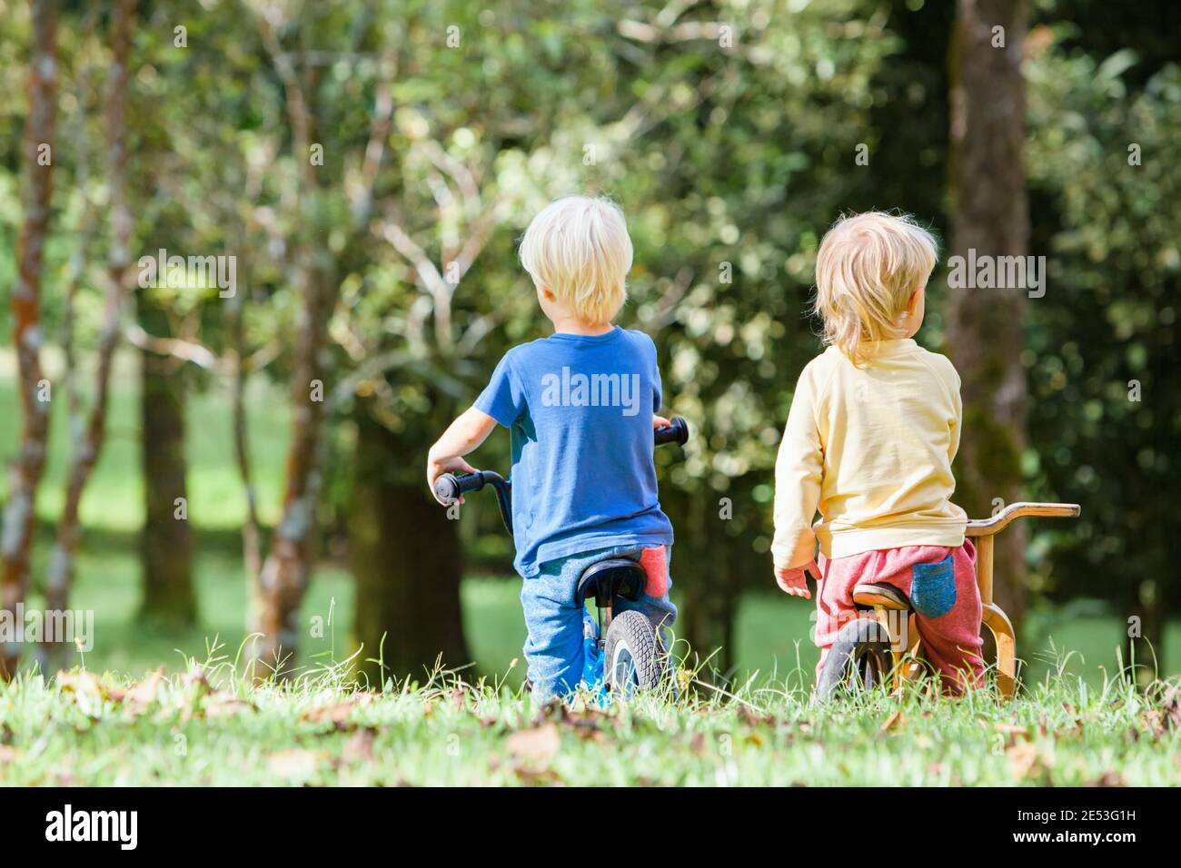 Back view boy on bicycle hi-res stock photography and images - Alamy