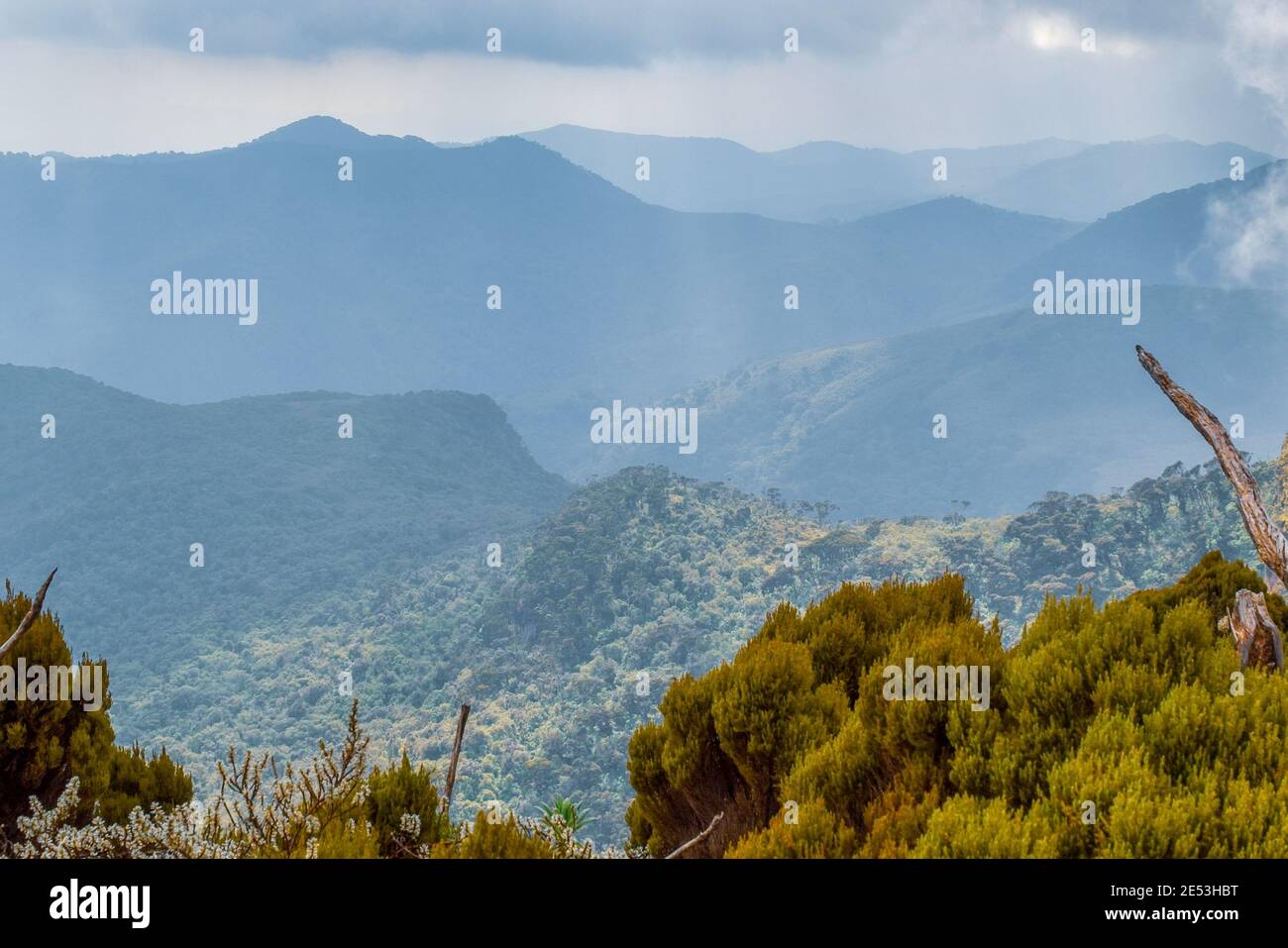 Scenic mountain landscapes in Aberdare Ranges, Kenya Stock Photo - Alamy