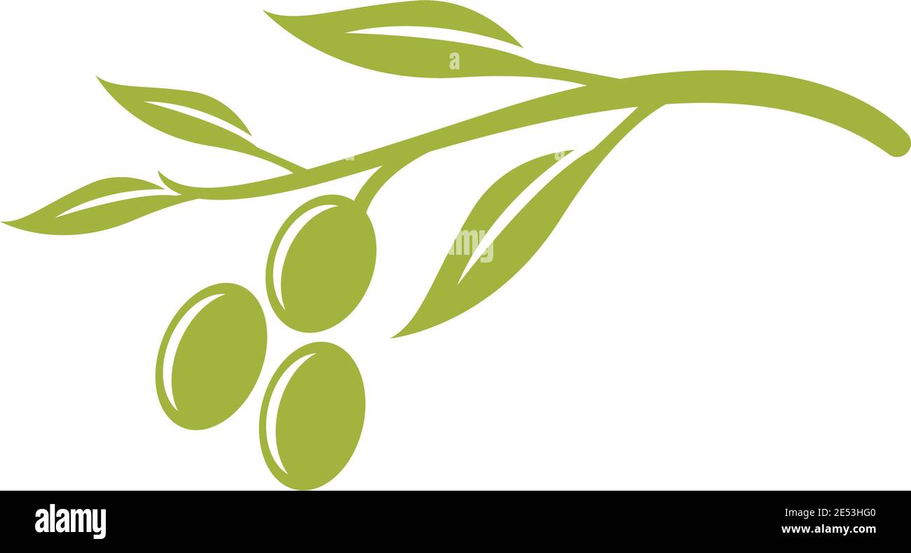 Olive branch logo template hi-res stock photography and images - Alamy