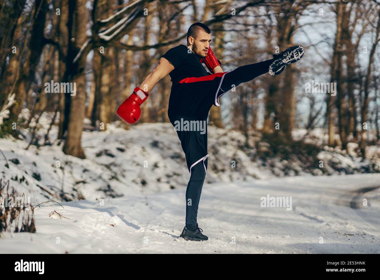 Strong muscular fighter with boxing gloves sparring in nature at snowy ...