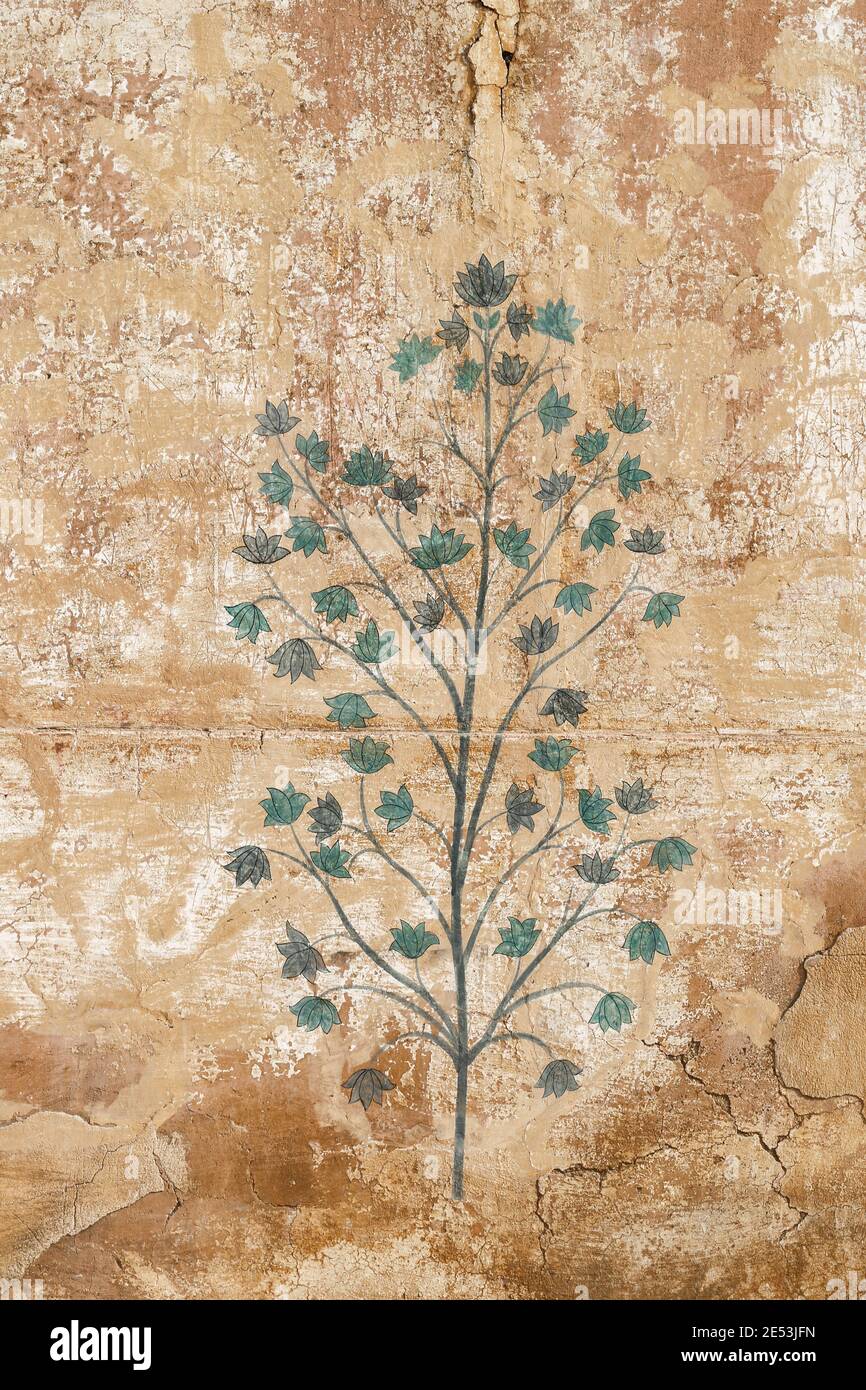 Small tree painted on a wall in a fort; India Stock Photo - Alamy