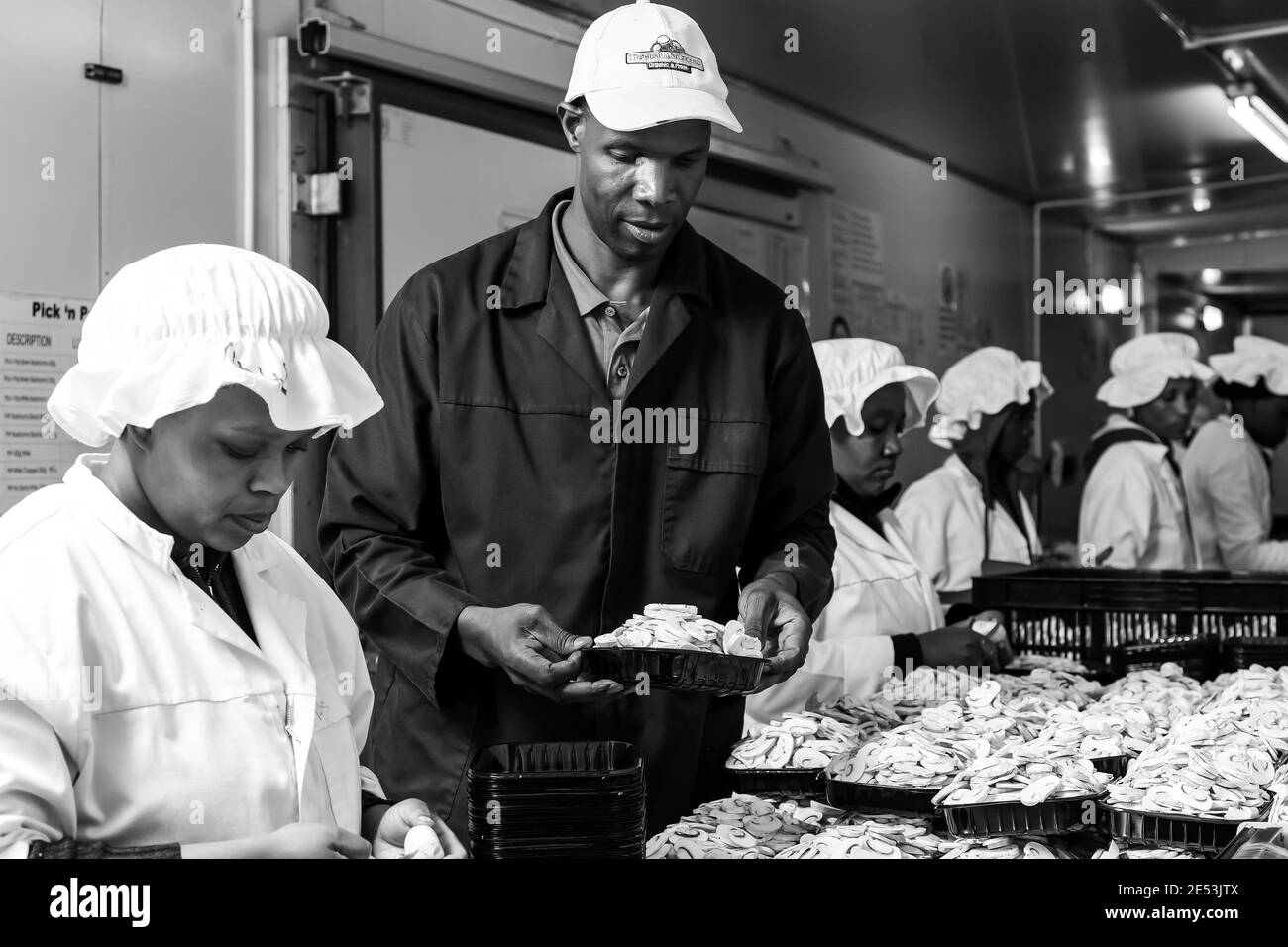 Africa food processing Black and White Stock Photos & Images - Alamy