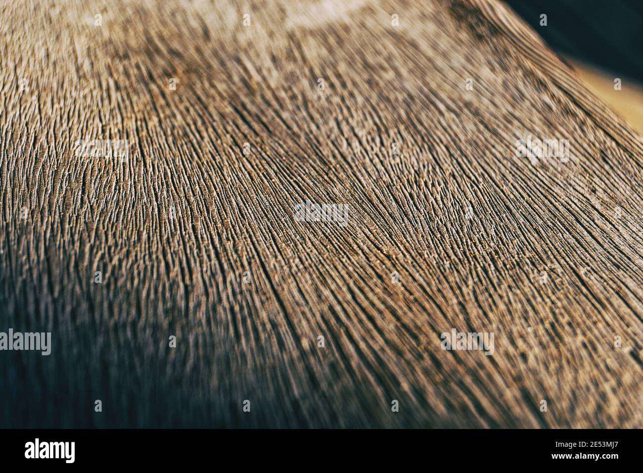 wood texture close up view with perspective Stock Photo - Alamy