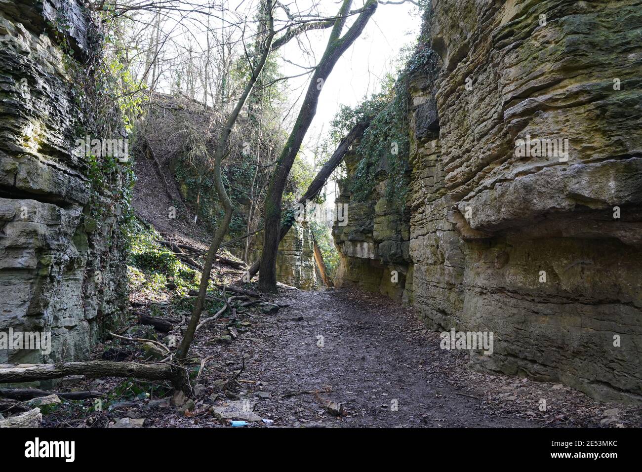Closeup shot pathway surrounded hi-res stock photography and images - Alamy