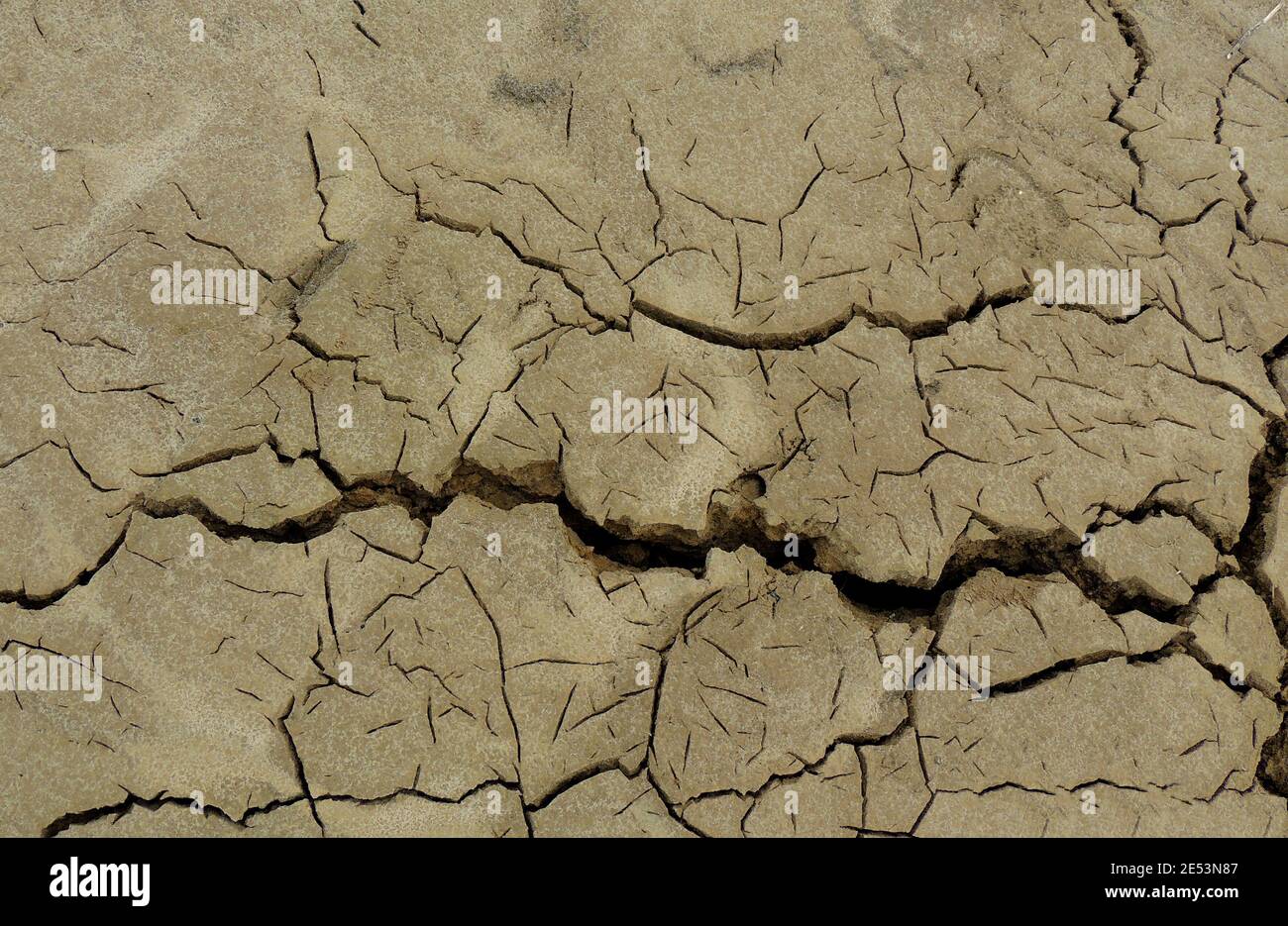 Parched Soil With Cracks Texture Background Stock Photo - Alamy