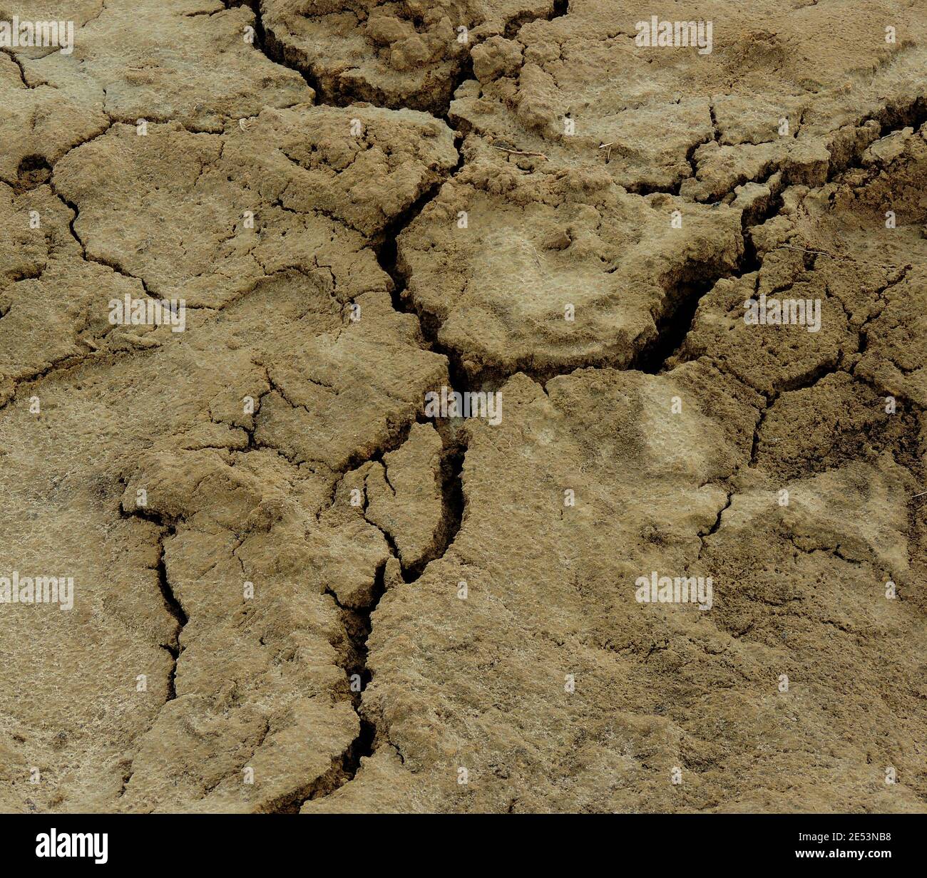 Dried Up Sand Top View Texture Stock Photo - Alamy