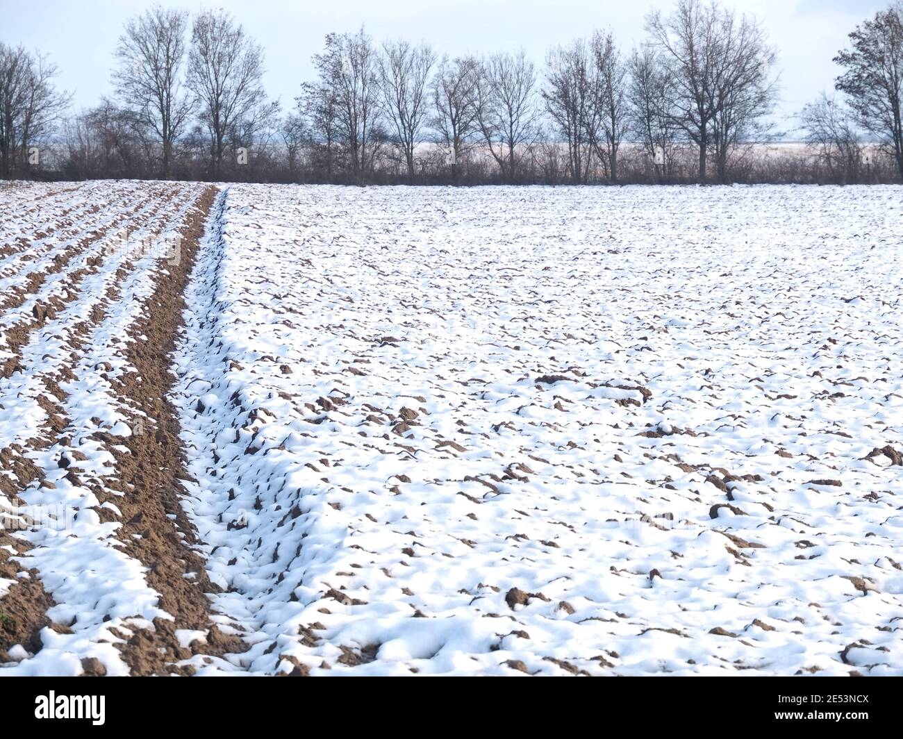 Corn snow fields hi-res stock photography and images - Alamy