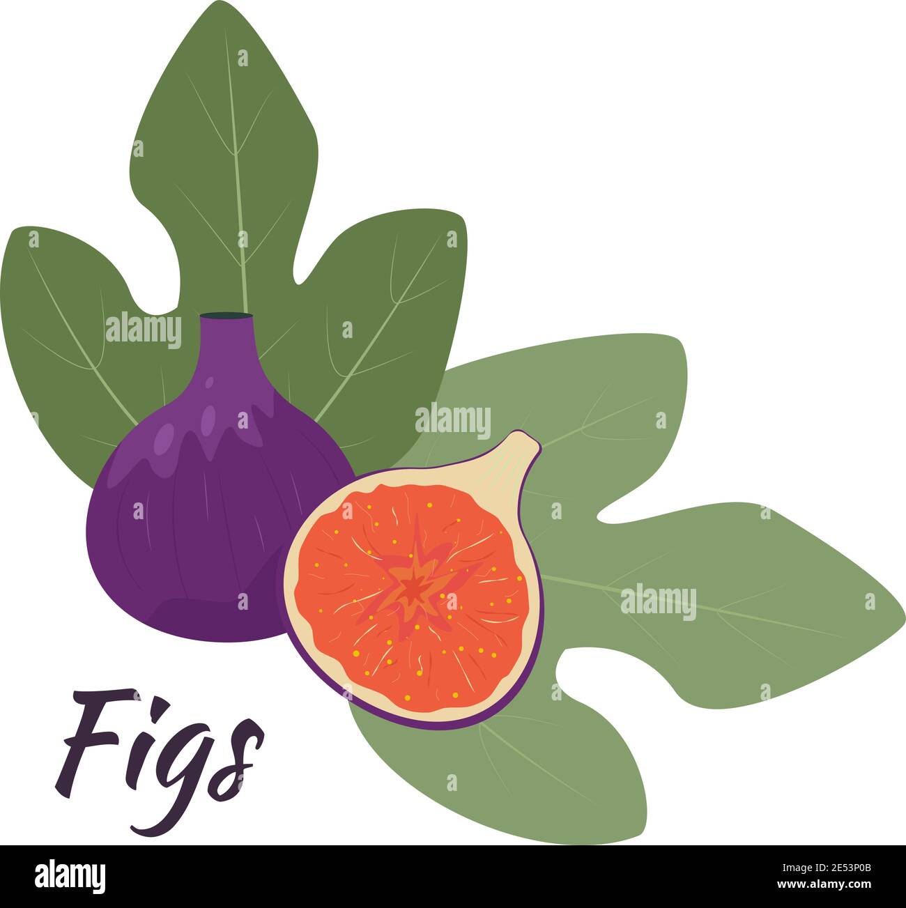 Love figs Stock Vector Images - Alamy
