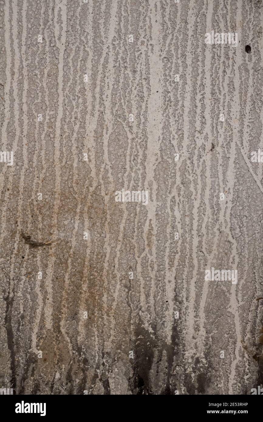 gray paint dripping on wall, grunge wall, burned wall texture, black ...