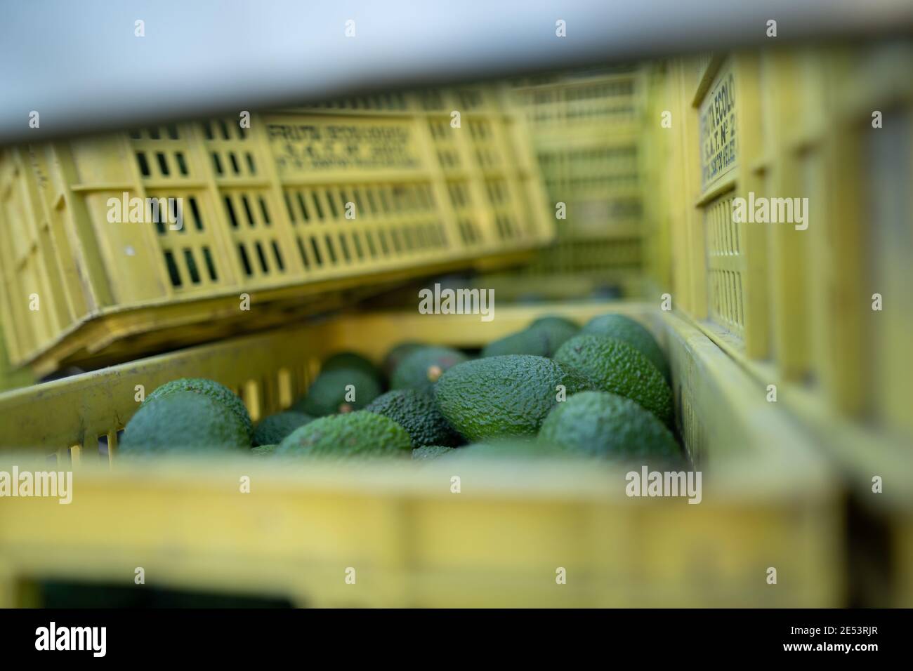 Farmers loading produce into truck hi-res stock photography and images ...