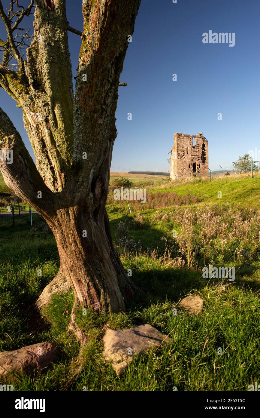 Medieval royal family tree hi-res stock photography and images - Alamy