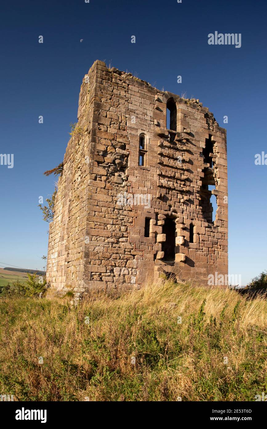 Medieval royal family tree hi-res stock photography and images - Alamy