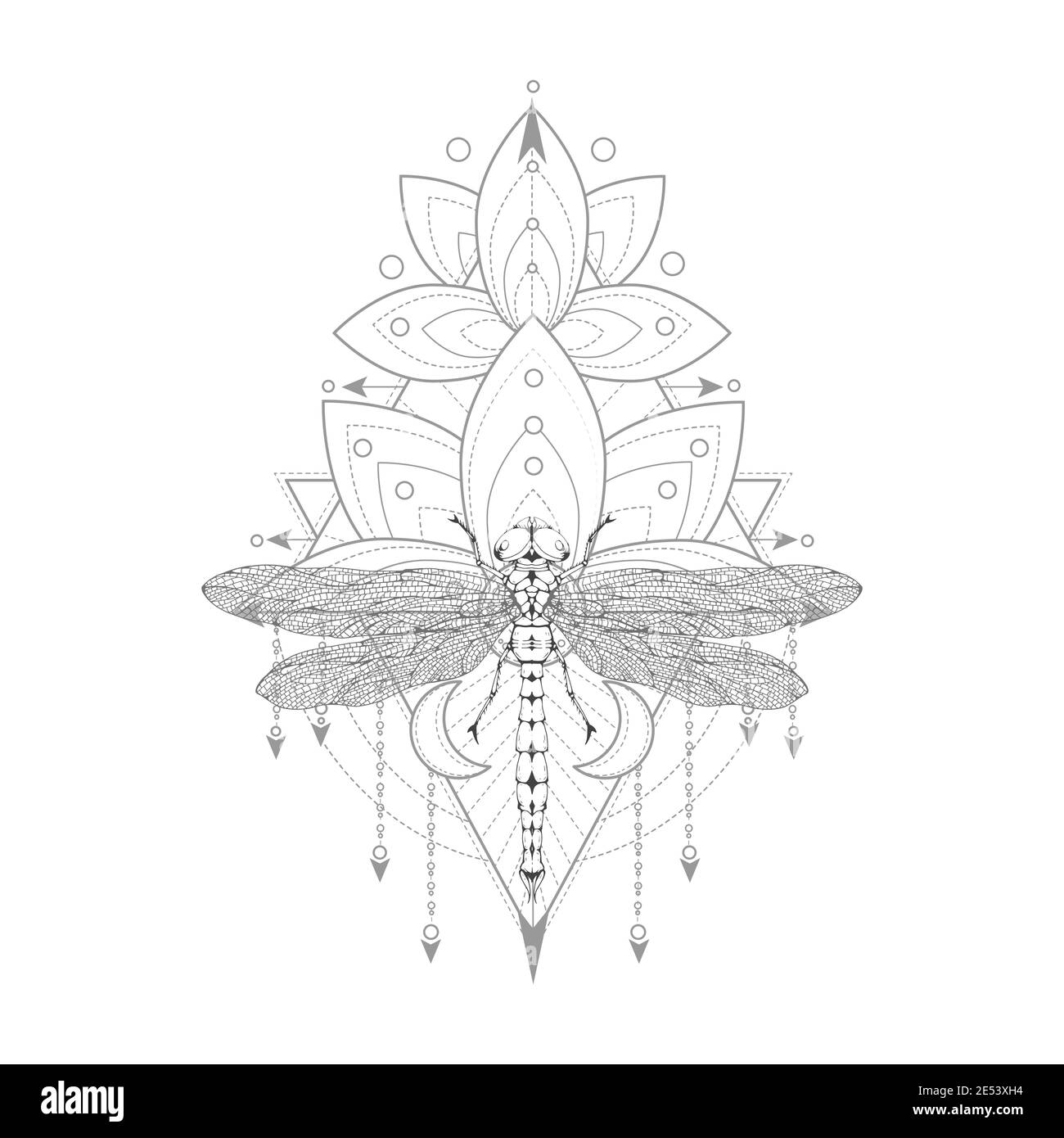 Dragonfly Drawings Designs